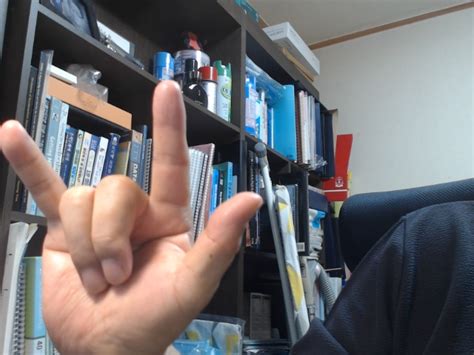 Simple Sign Language Detection Object Detection Dataset By Samkeun