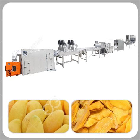 Mango Processing Solution Provider From Atoz