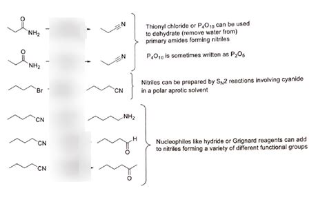 Chp 17 Pg 5 Diagram Quizlet