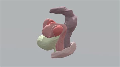 Vulva 3d Models Sketchfab