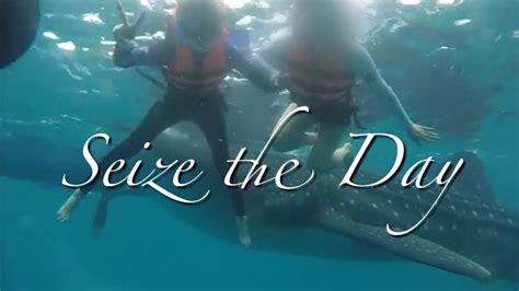 Eng 세부여행 Ep1 오슬롭 고래상어와 모알보알 바다거북이 스노클링 투어 샹그릴라 호텔 차로 이동만 하루에 10시간 파워j랑 여행갔더니 하루가 48시간