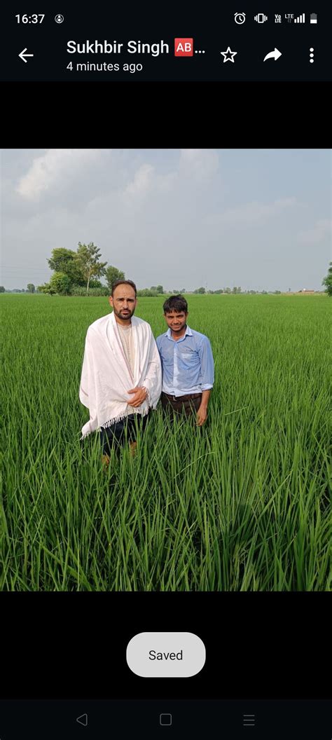 shobhit singh on linkedin my passion agriculture