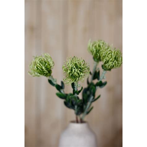 Green Pincushion Protea Spray Wholesale By Hill Interiors