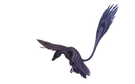 Scansoriopteryx By Dracoawesomeness On Deviantart