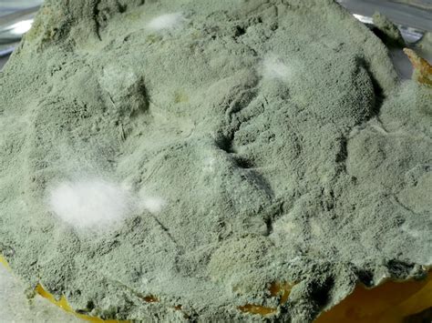 Aflatoxin Images Free Download On Freepik