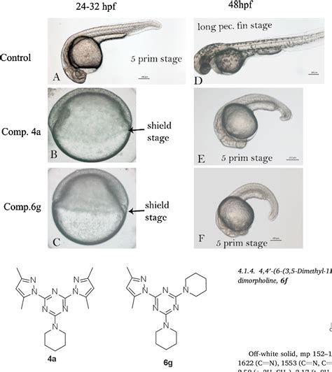 Figure 1 From Design And Synthesis Of Mono And Di Pyrazolyl S Triazine Derivatives Their