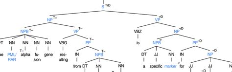 Postorder Traversal Algorithm For Extracting Relational Information