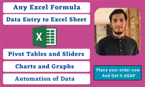 create any professional excel sheet using advance formulas by