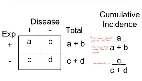 Chapter 13 Flashcards Quizlet