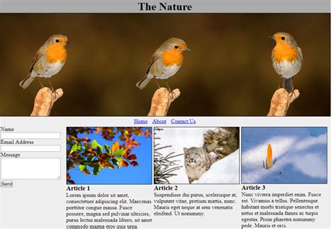 Solved Need To Turn Css To Make The Code Look Like Chegg Com