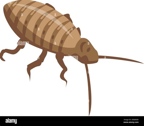 Cockroach Bug Icon Isometric Style Stock Vector Image And Art Alamy Cockroach Bug Icon Isometric Style Stock Vector Image And Art Alamy
