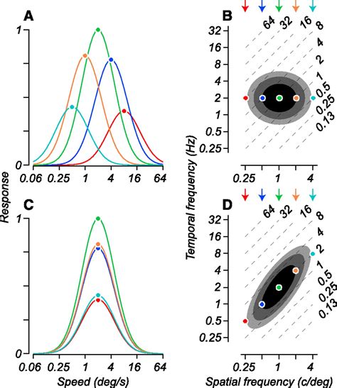 Tuning For Spatiotemporal Frequency And Speed In Directionally Selective Neurons Of Macaque