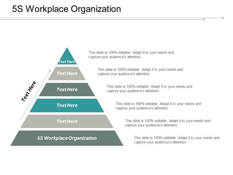 5S Workplace Organization Ppt PowerPoint Presentation Portfolio Styles Cpb
