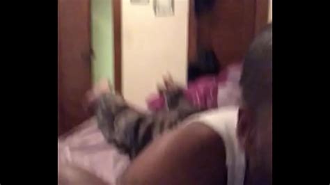 Cougar Ass Licking Search