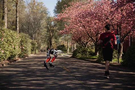 Watch Agility Robotics Cassie Biped Complete A 5k