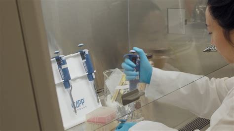 Video Author Spotlight Optimized Transformation Protocol For Chlorella Vulgaris Using