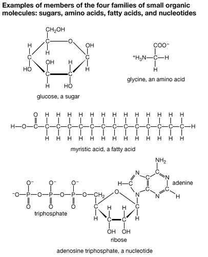 Adenosine Triphosphate Atp Definition Structure Function And Facts