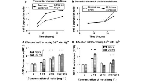 Modelling Predictions And Validation Of Simple Metal Mixture Effects On