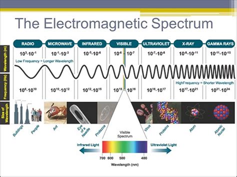 What Do Microwaves Have In Common With Light Waves