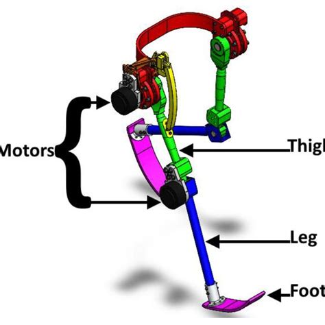 Lower Limb Exoskeleton With Crs System Download Scientific Diagram