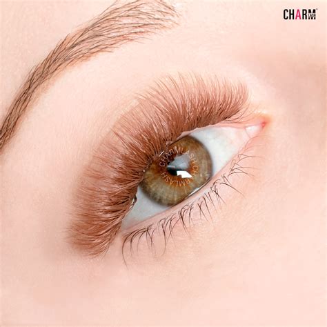 Light Brown Vs Dark Brown Eyelash Extensions Which Shade Is For You