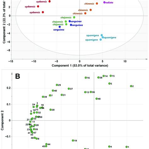 A Score Plot B Loading Plot Of Principal Component Analysis Pca