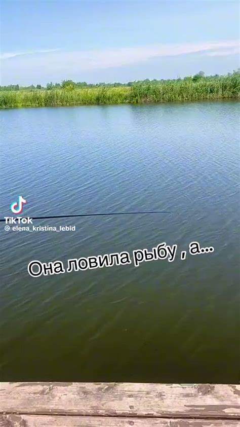 пані N On Twitter Боже… Oo5xbzna4e Twitter