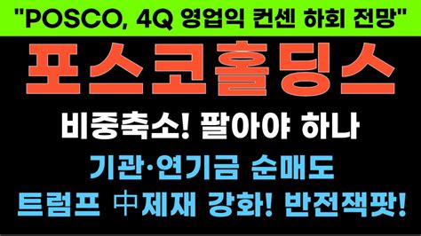 포스코홀딩스 세계최고의 기업이 될겁니다장기투자하세요 100배 수익납니다 포스코홀딩스 주가전망 양극재 에코프로