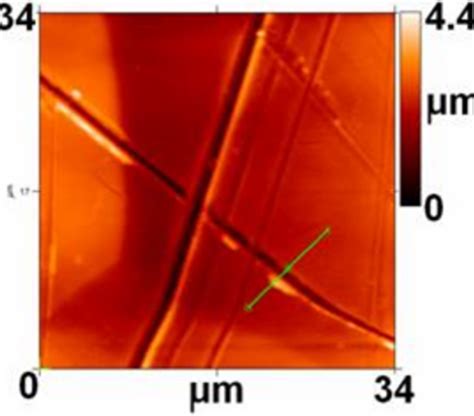 Optisches Profilometerinterferometer Mit Afm