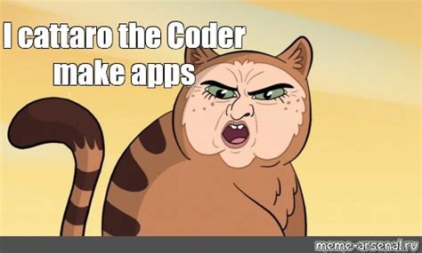 Create Meme Cat With A Human Face Are You Stupid Pictures Meme
