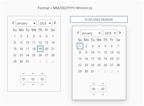 [ign 6978] datetime input component not respecting format property in 8