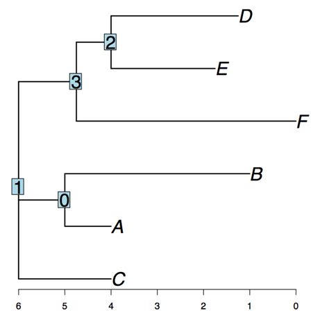 Python For Bioinformatics Neighbor Joining In Python Doing The Plot