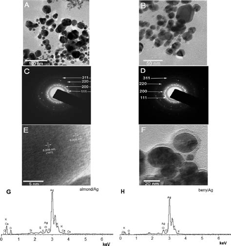 Tem Under Different Magnifications And Corresponding Edax Pattern With Download Scientific