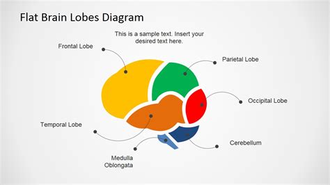 Flat Brain Lobes Diagram For Powerpoint Slidemodel