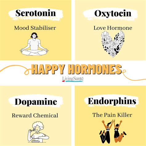 How To Map Your Own Nervous Sytem The Polyvagal Theory Artofit