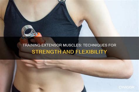 Training Extensor Muscles Techniques For Strength And Flexibility Cyvigor