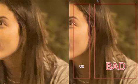 Bad Long Hair Issue When Recovering Faces Bugs And Issues Topaz