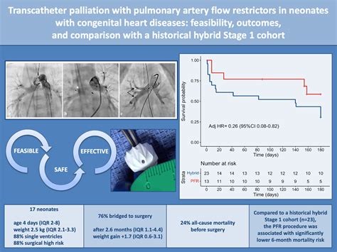 Pulmonary Flow Restrictor At Jack Belser Blog