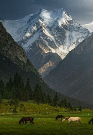 Пейзажи Киргизии (50 фото) - 50 фото