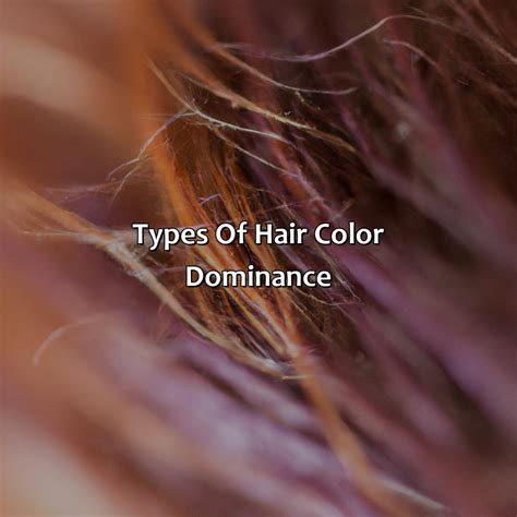 What Hair Color Is Dominant Colorscombo Com