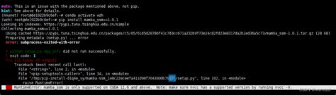 安装mamba ssm报错 安装mamba—ssm出错了怎么办 csdn博客