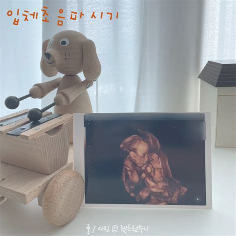 입체초음파 시기 시간 비용 실물 코 얼굴 네이버 블로그