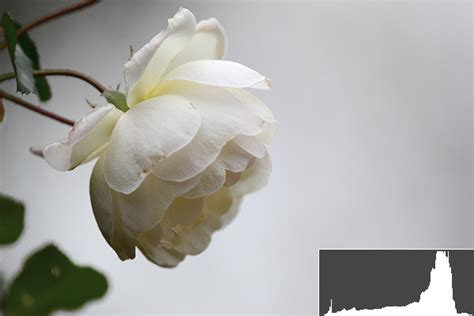 Photoshop Basics Reading A Histogram