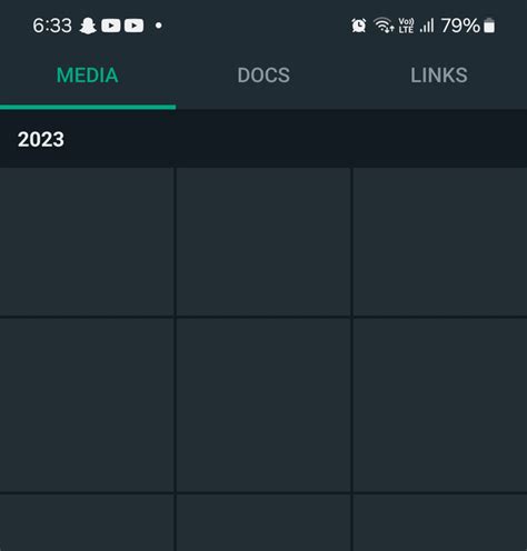 unable to see whatsapp attachments r whatsapp
