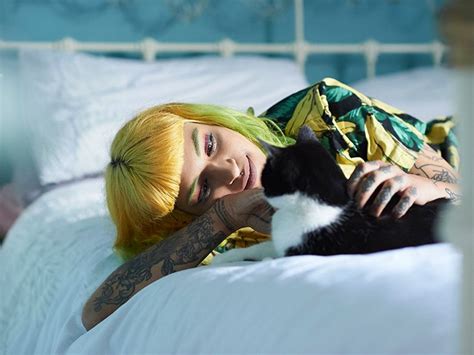 My Cat Scratched Me Should I Be Worried Risks Treatment Prevention