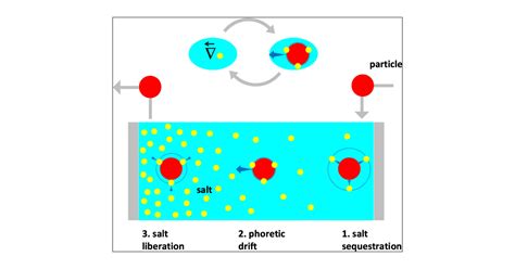 Colloidal Suspensions Displaying Anomalous Phoretic Behavior Field And Mobility Reversal Langmuir