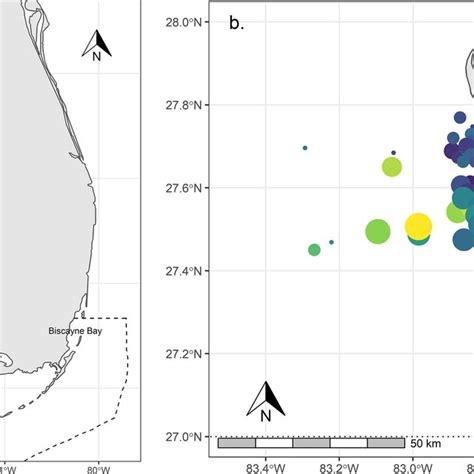 Advantages And Disadvantages Of Mark Recapture And Mark Resight Models