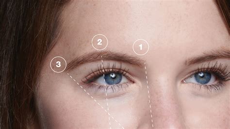 Perfect Natural Eyebrows