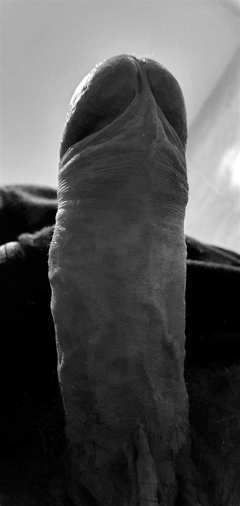 Foto De Majestic Penis