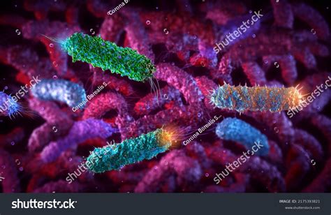 Autotrophic Bacteria
